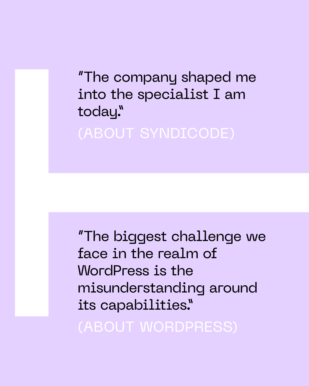 Interview with WordPress developer at Syndicode