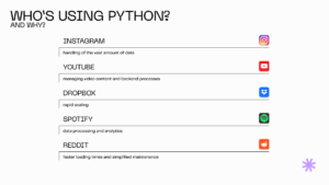 Guide to software development with python for decision-makers